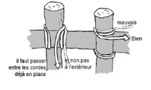 brelage scout
